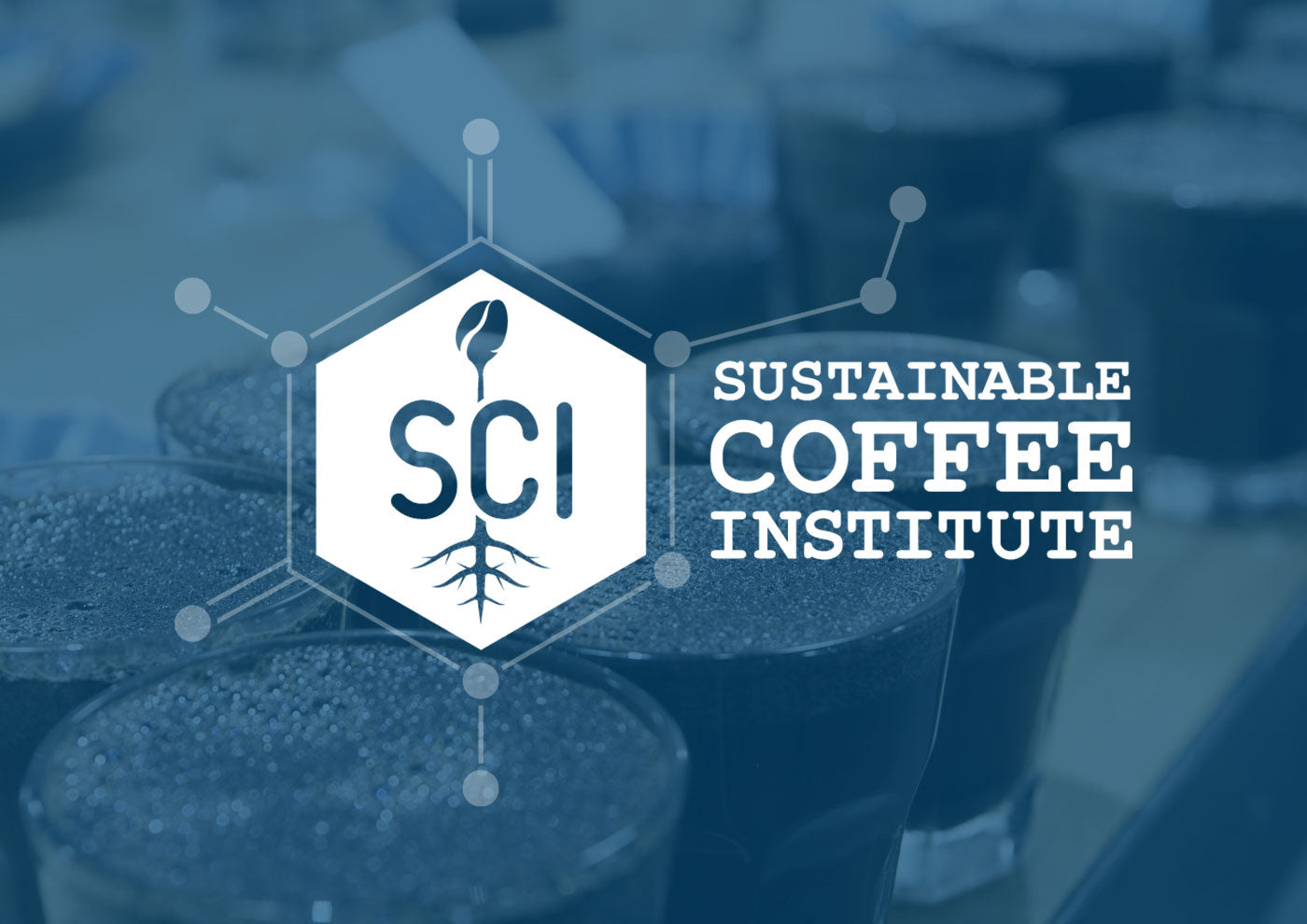 Sustainable Coffee Institute Courses – Atlas Coffee Importers